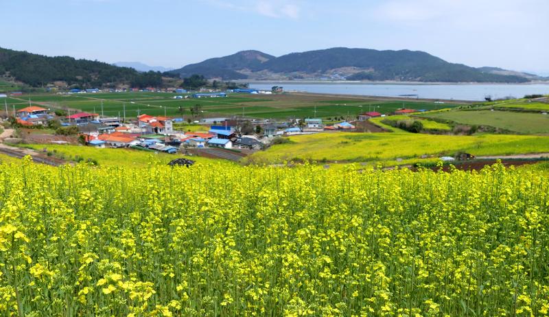 La KTO selecciona 6 lugares recomendados para disfrutar de las flores ...